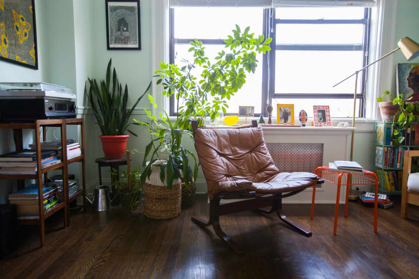 Tour: HuffPost Senior Culture Writer Zeba Blay's Home | Apartment Therapy