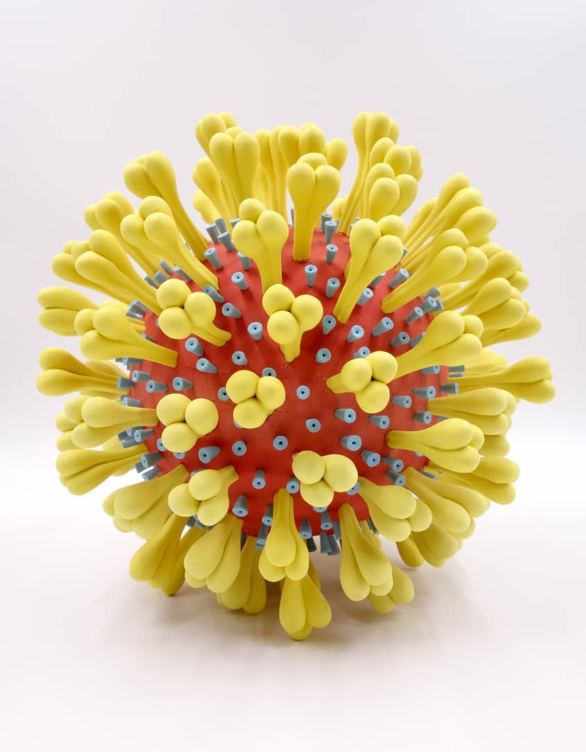 Artist Zemer Peled Creates Textured Coral Sculptures With Porcelain ...