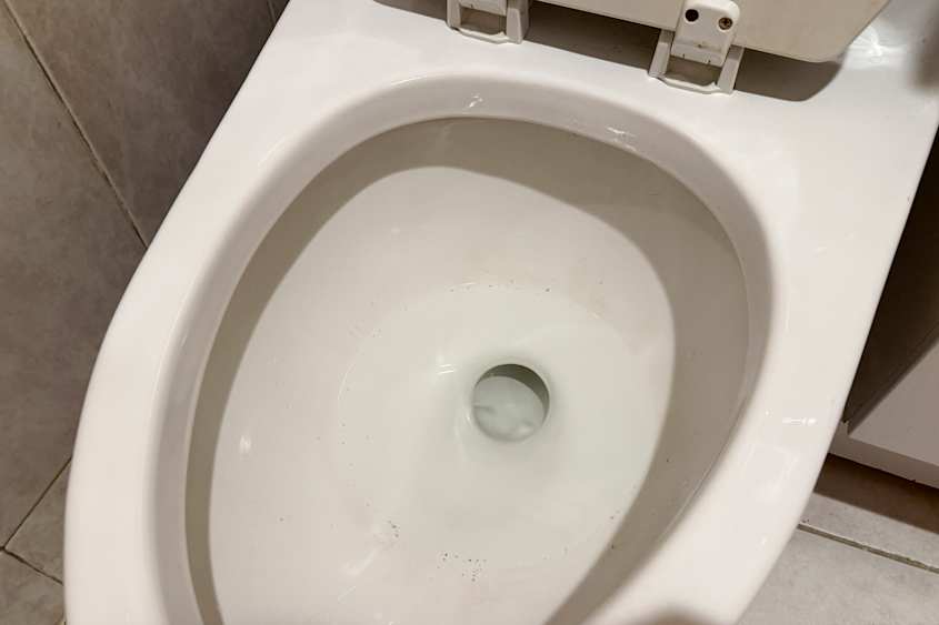 My Honest Review of the Clorox ToiletWand Cleaning System | Apartment ...