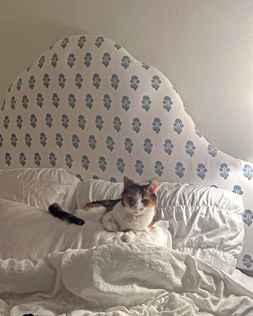 How I Turned a Shower Curtain Into a Stunning Headboard | Apartment Therapy