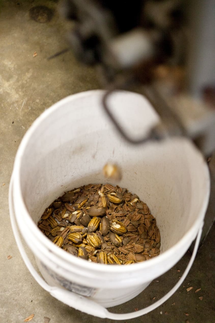 Why Tucker Pecan Still Buys “Backyard Pecans” | The Kitchn