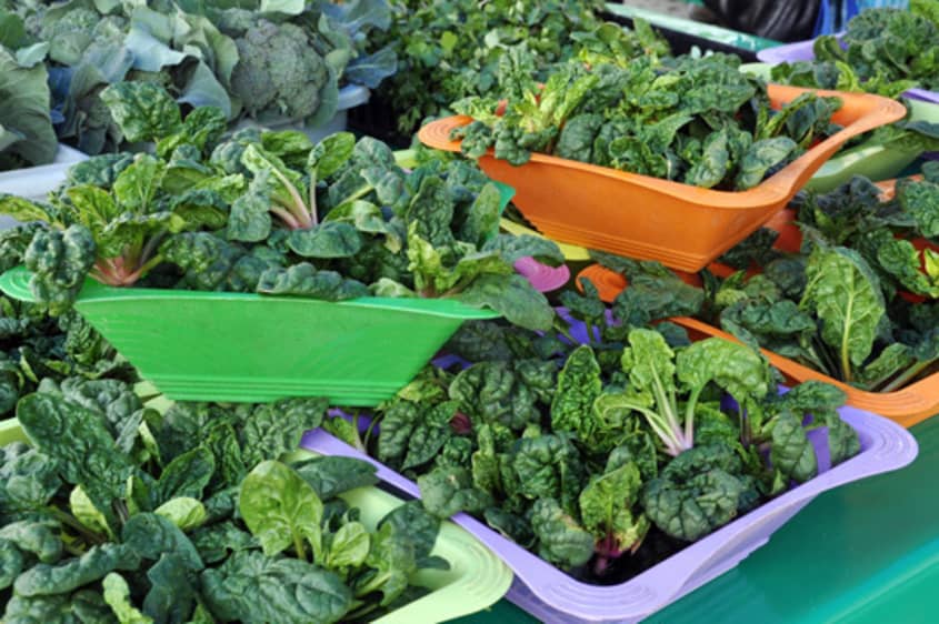 A Guide to Selecting the Best Produce: Vegetables | The Kitchn