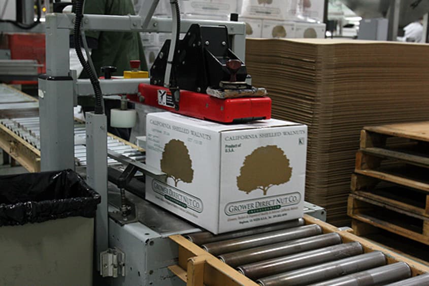 Right Now: Walnut Harvest! | The Kitchn