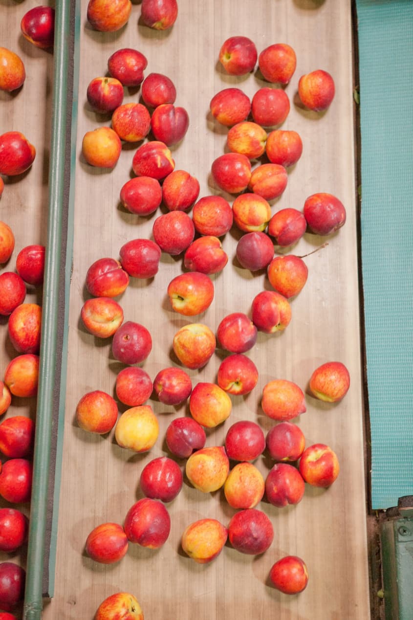 How Peaches Are Packed for Shipping | The Kitchn