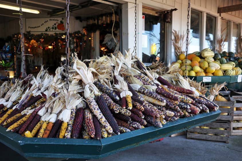 From Alabama To Wyoming: A Guide to Finding Farm Stands In All 50 ...