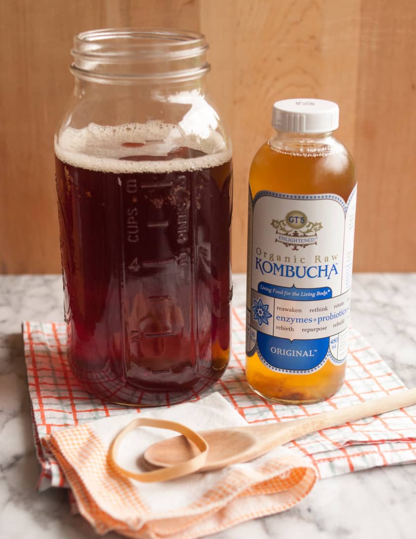How To Make Your Own Kombucha Scoby (Step-by-Step Recipe) | The Kitchn