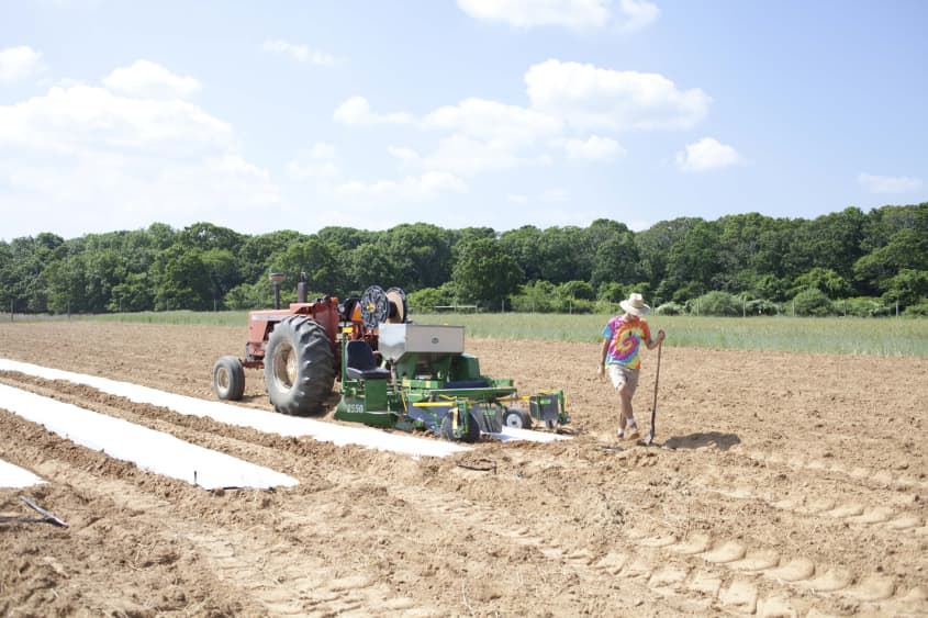 A Day in the Life of a Farm | The Kitchn