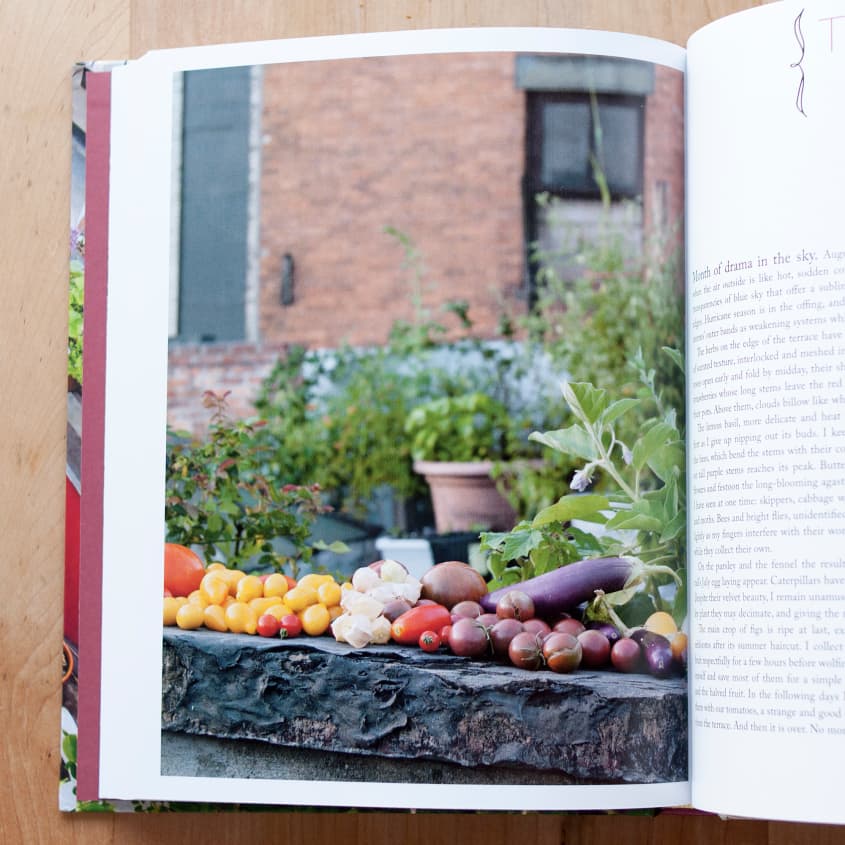 66 Square Feet by Marie Viljoen | The Kitchn