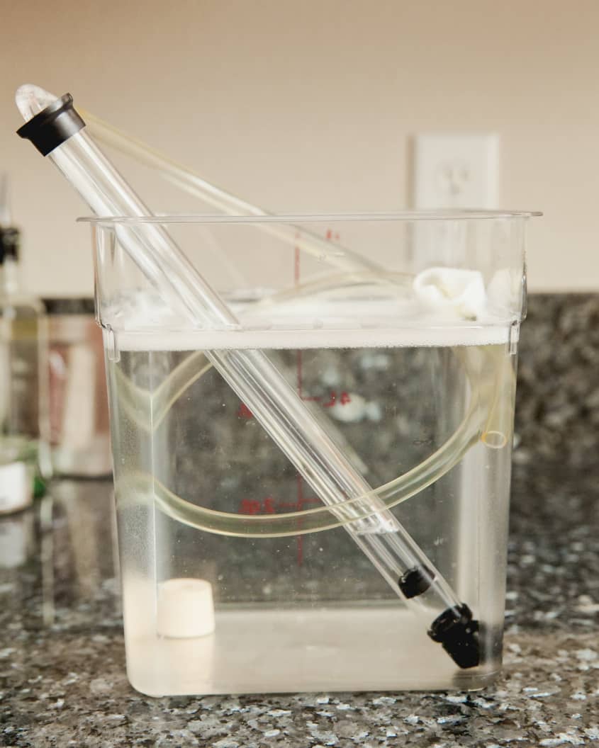 How to Transfer and Siphon Beer | The Kitchn