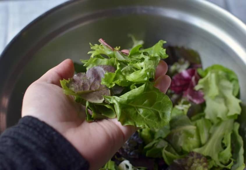 How To Make the Perfect Simple Salad | The Kitchn