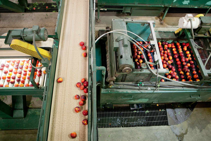 How Peaches Are Packed for Shipping | The Kitchn