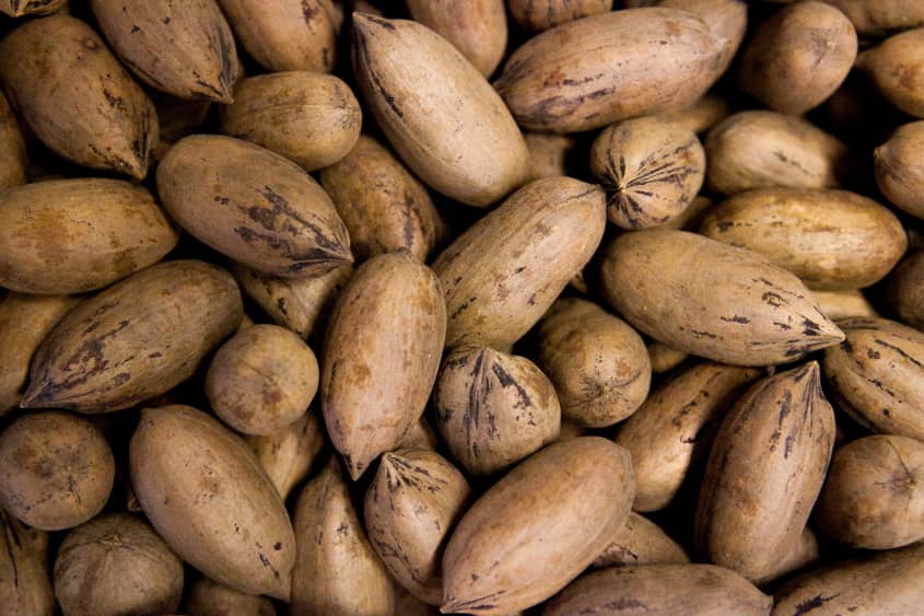 The Family Story of Tucker Pecans in Montgomery, Alabama | The Kitchn