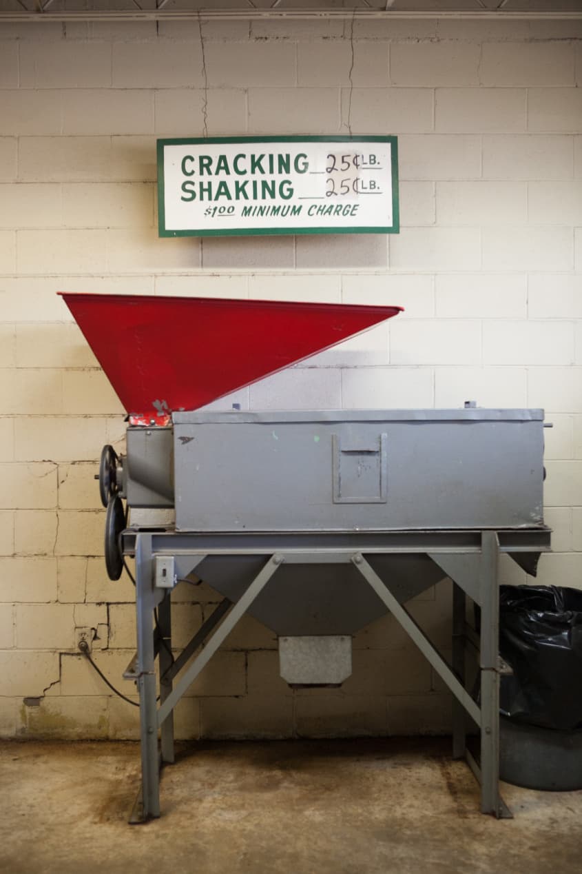 How Tucker Pecans Grows Pecans in Montgomery, Alabama | The Kitchn