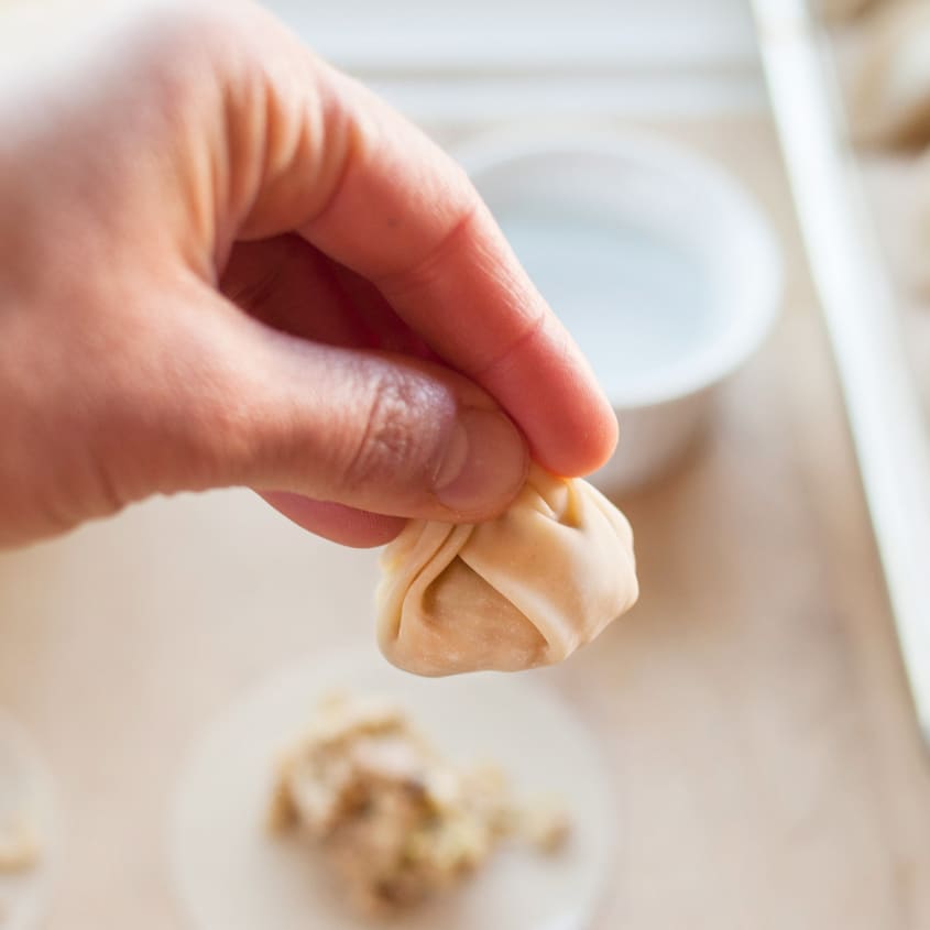 How to Make Homemade Asian Dumplings from Scratch | The Kitchn