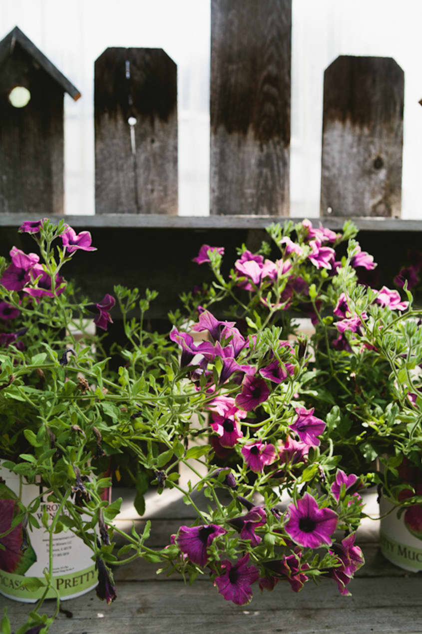 A Visit to Oregon Olive Mill: Heritage Olive Oil From Dayton, Oregon ...