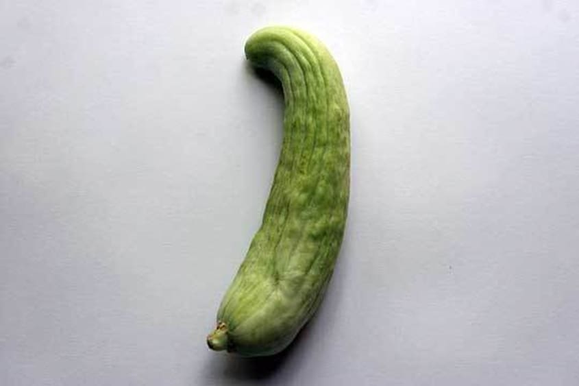 A Roundup of Cucumbers | The Kitchn