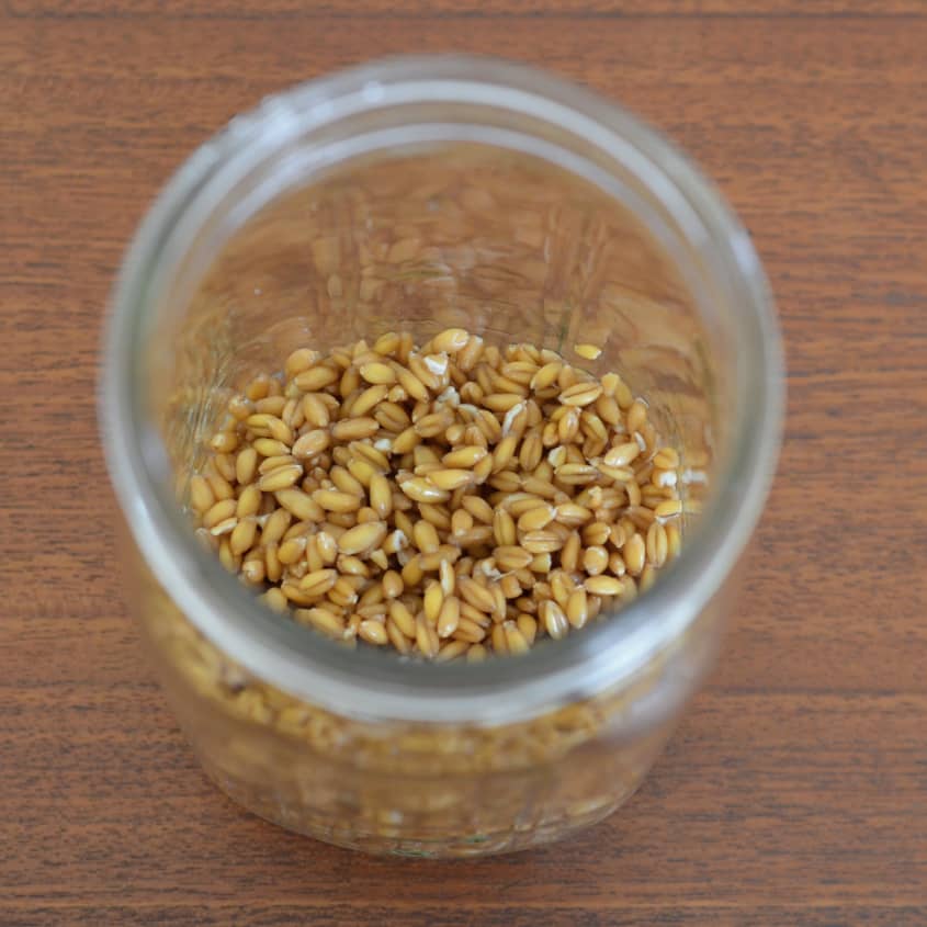 How To Make Sprouted Grains | Kitchn