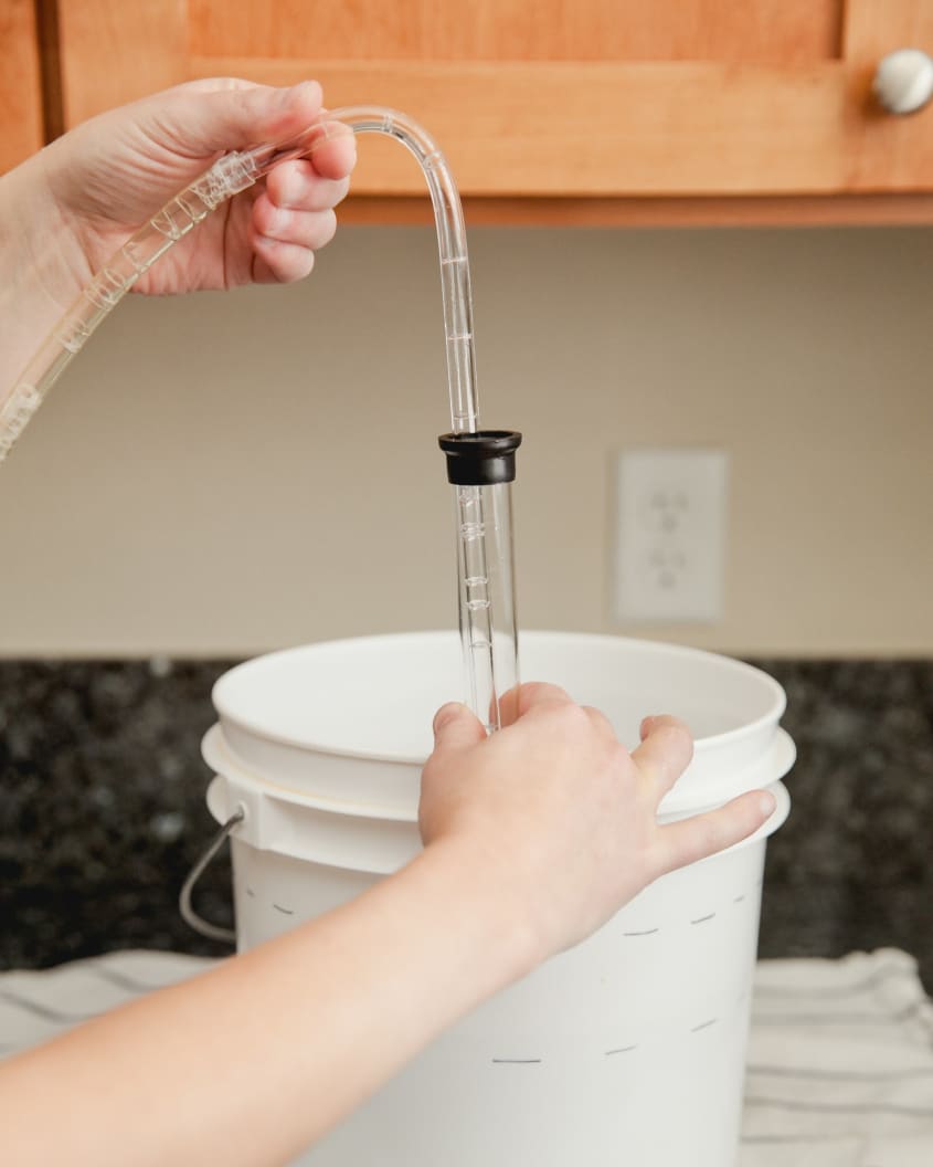 How to Transfer and Siphon Beer | The Kitchn