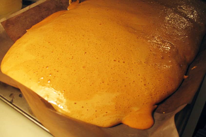 Candy with a Crunch! Honeycomb Candy from the Seattlest Recipe Reviews ...