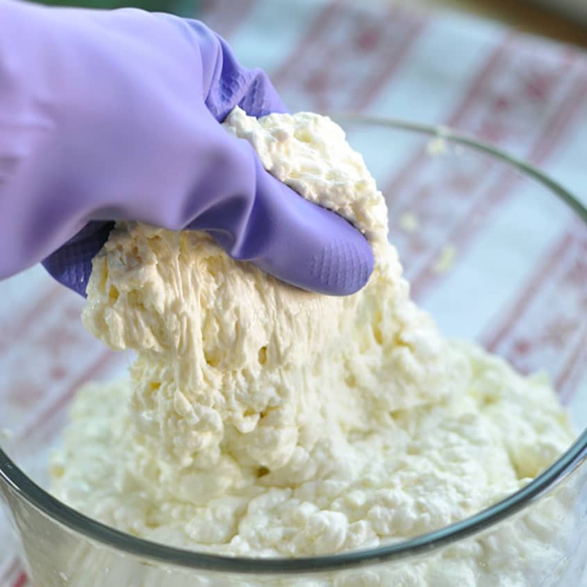 Homemade Mozzarella Cheese Recipe (With How-To Video) | The Kitchn