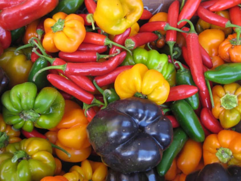 A Guide to Selecting the Best Produce: Vegetables | The Kitchn