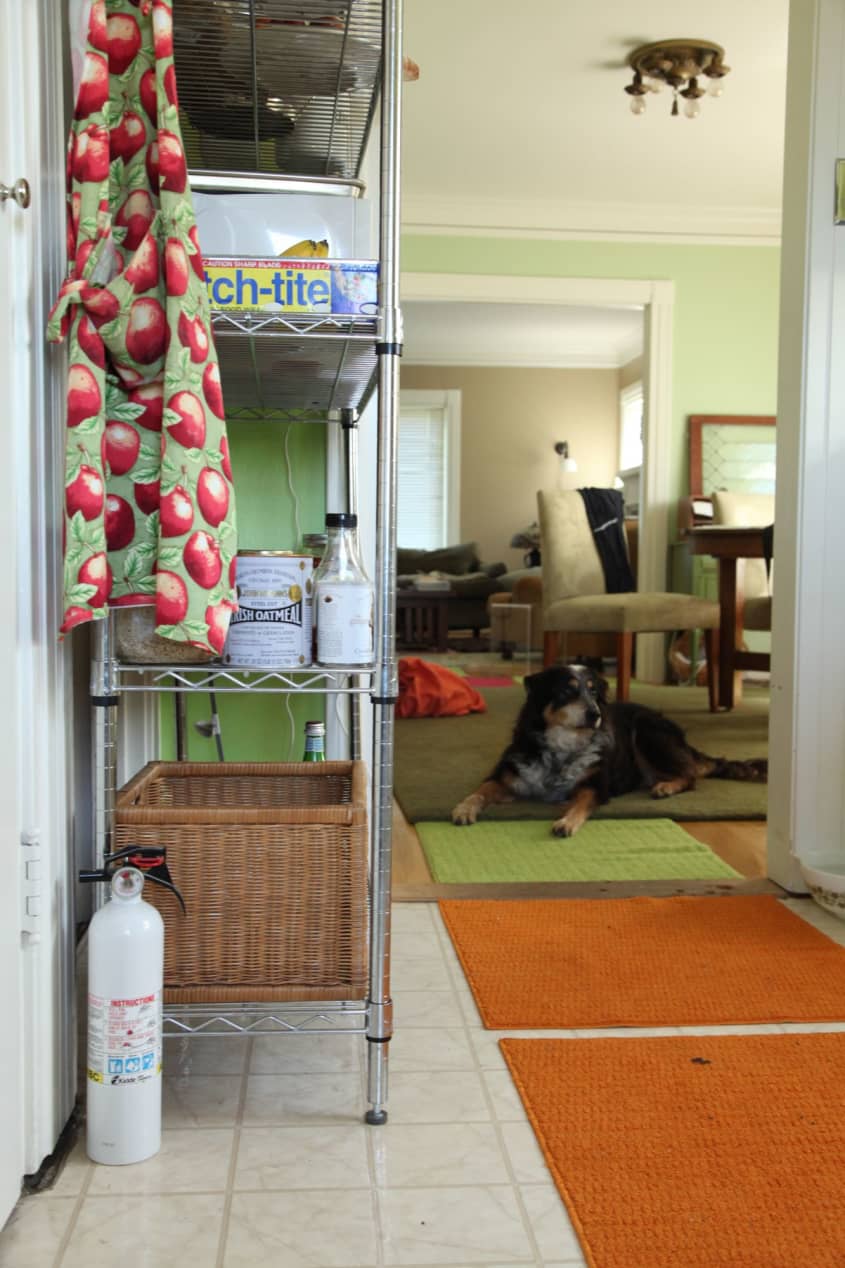 Mari & Adam’s Colorful Craftsman Kitchen | The Kitchn