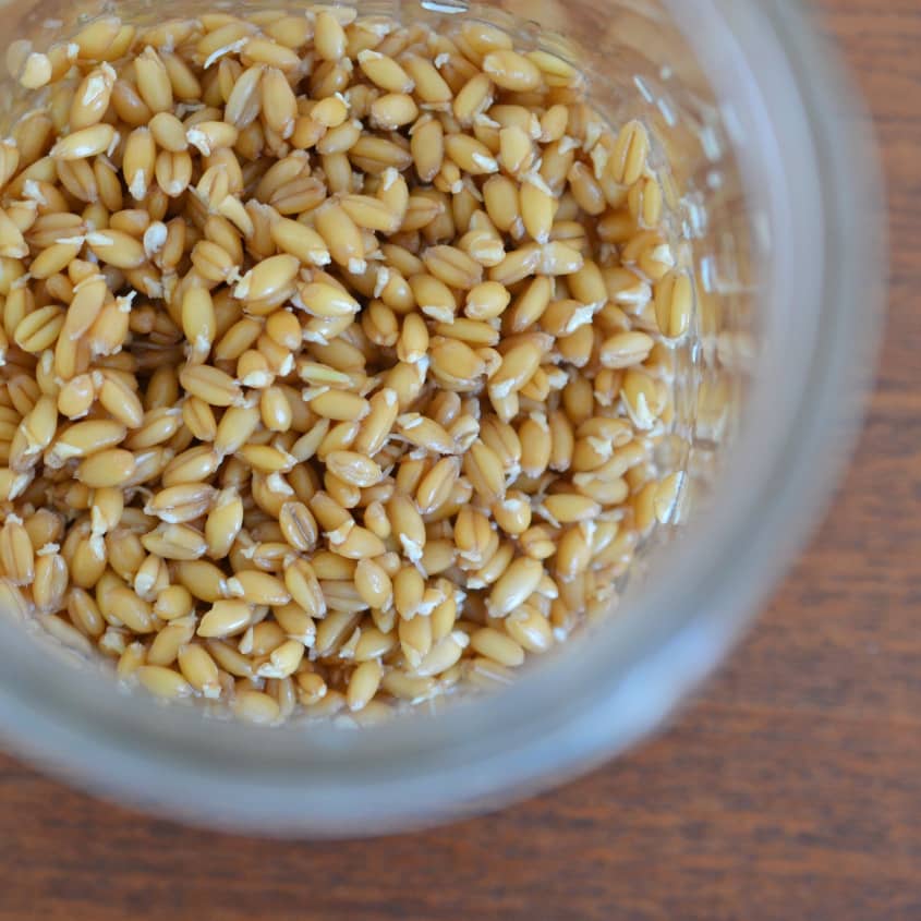 How To Make Sprouted Grains | The Kitchn