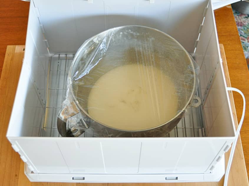 A Home Bread Proofer: The Brød & Taylor Folding Proofer Product Review ...