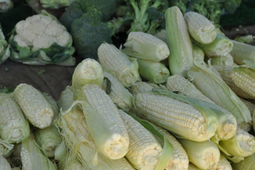 A Guide to Selecting the Best Produce: Vegetables | The Kitchn