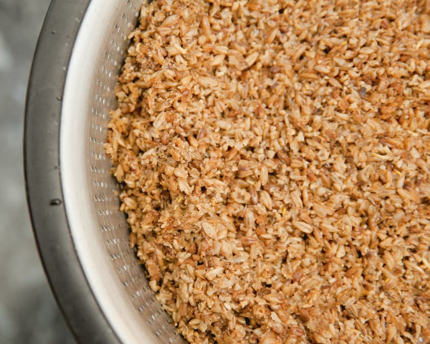 Brew Day Hour 2: Sparge the Mash | The Kitchn