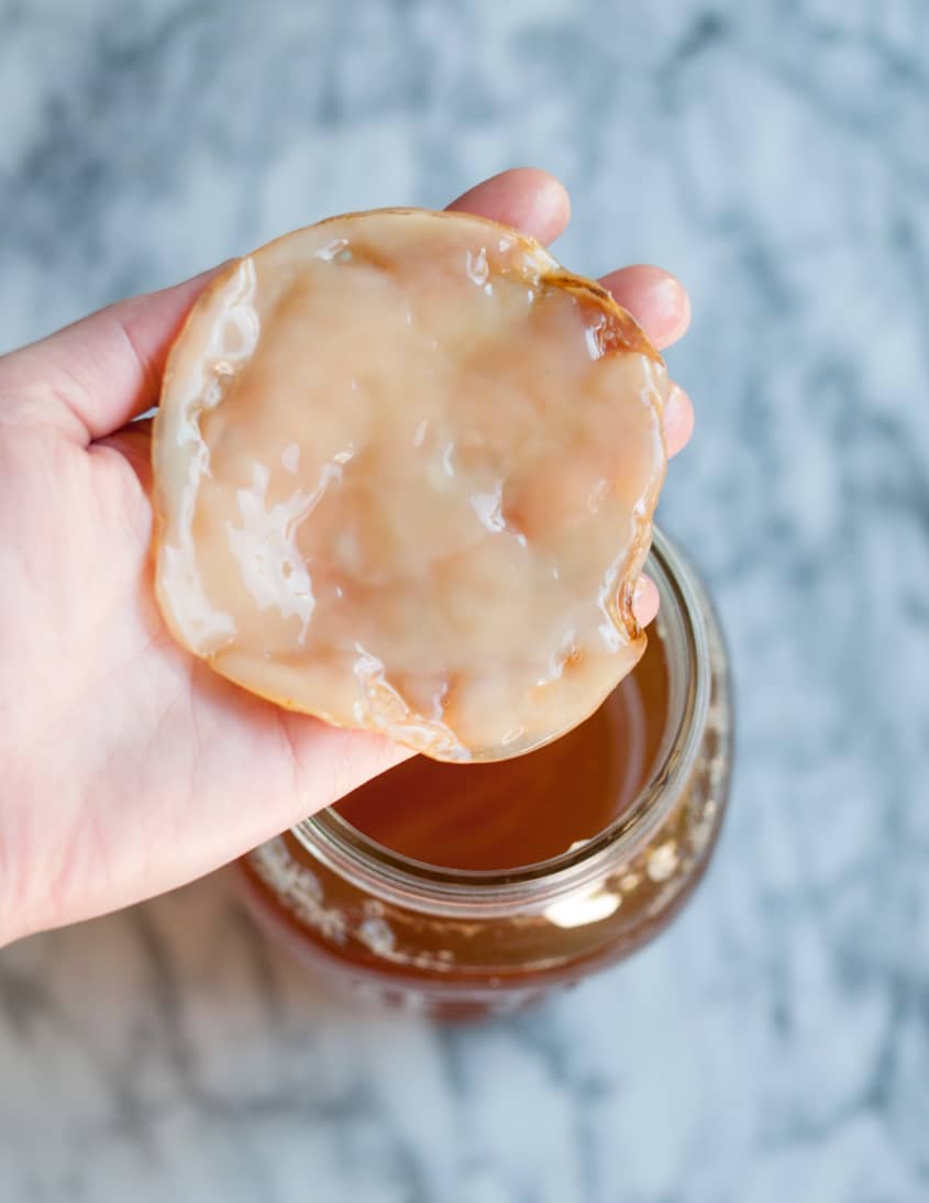 How To Make Your Own Kombucha Scoby (Step-by-Step Recipe) | The Kitchn