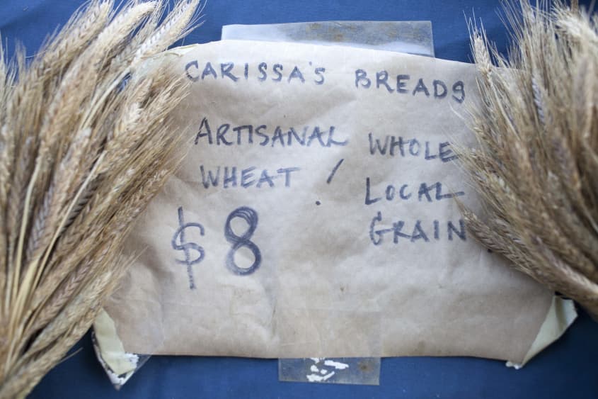 From Seed to Table: How The Amagansett Wheat Project Turns Local Wheat ...
