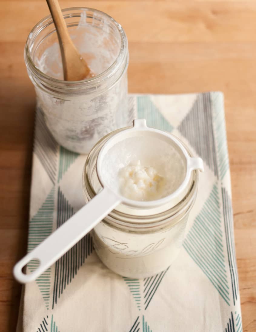 Milk Kefir Recipe (Thick and Creamy) | The Kitchn