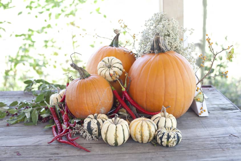 How Farmers Celebrate the End of a Season: The OktoberFeast Potluck at ...
