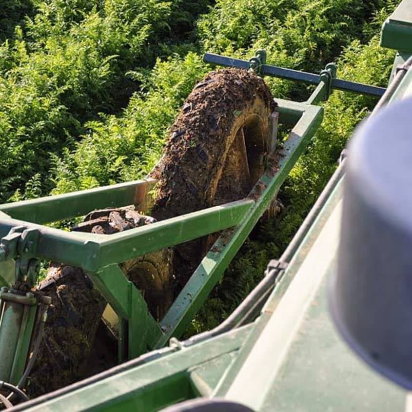 Behind the Scenes: Baby Carrot Harvest at Grimmway Farms | The Kitchn