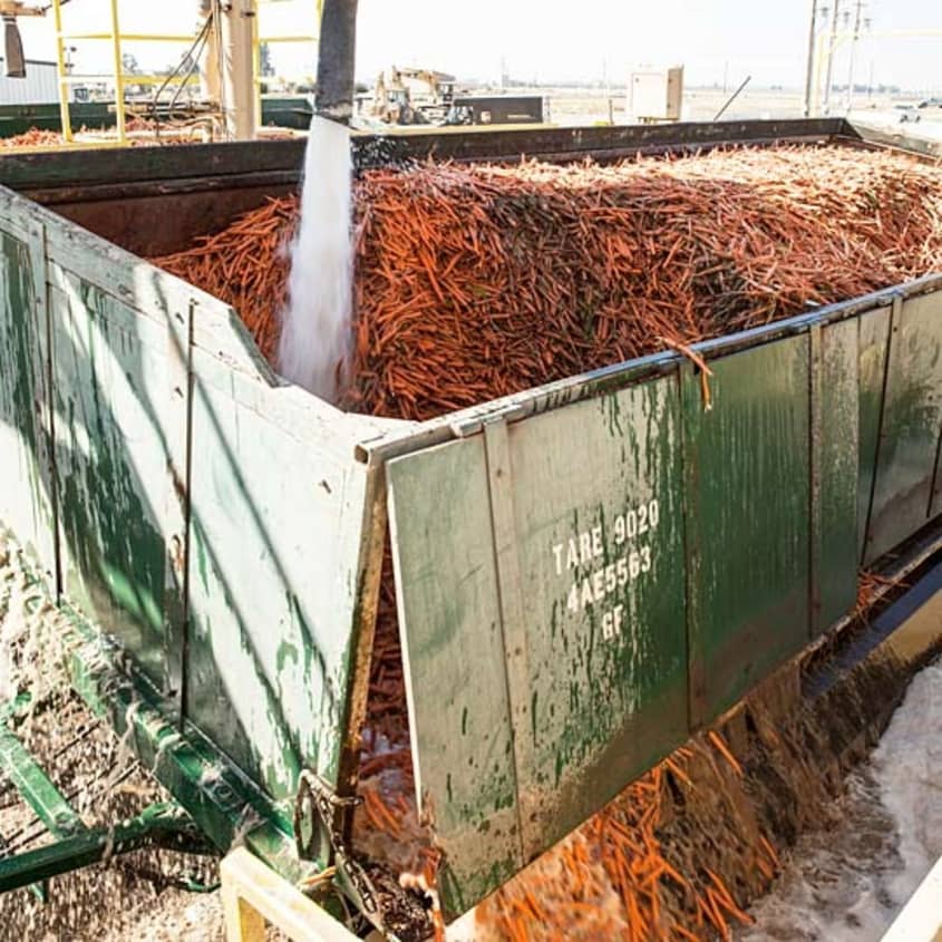 Behind the Scenes: Baby Carrot Harvest at Grimmway Farms | The Kitchn