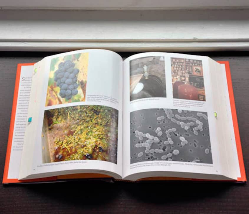 The Art of Fermentation by Sandor Ellix Katz | The Kitchn