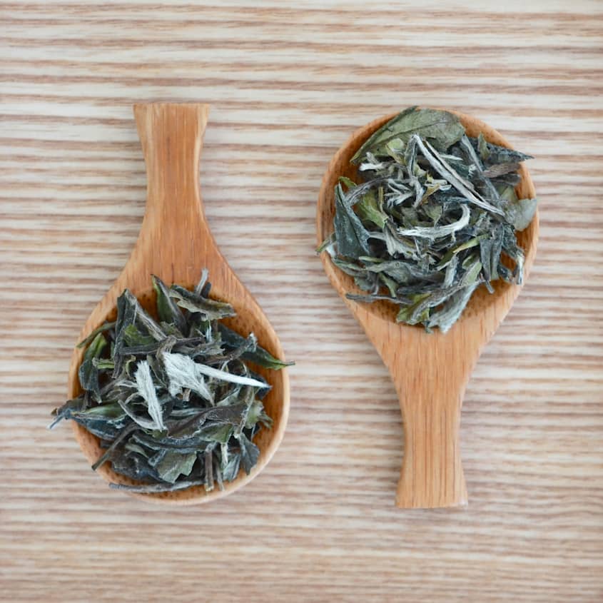 How To Brew White Tea | The Kitchn