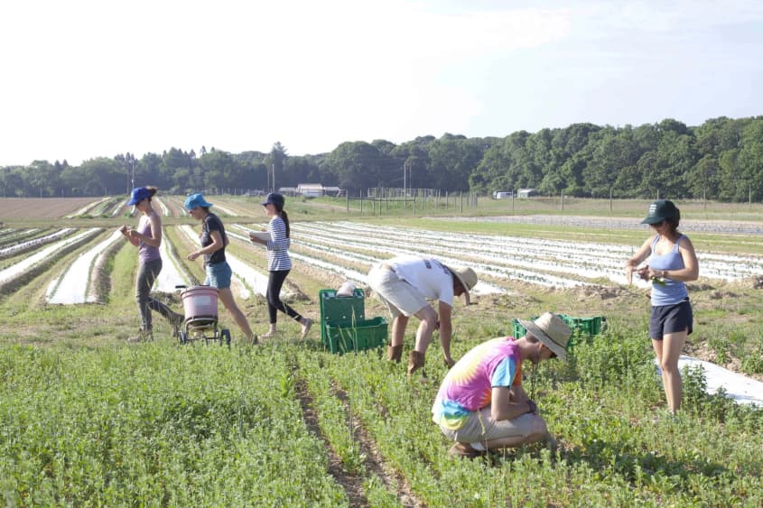 A Day in the Life of a Farm | The Kitchn
