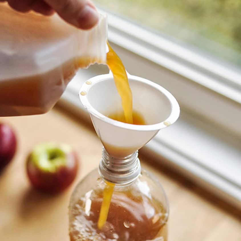 How To Make Sparkling Cider with Just 2 Ingredients | The Kitchn