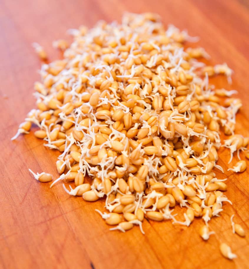 How Sprouted Flour Is Made: A Tour of To Your Health’s Sprouted Flour ...