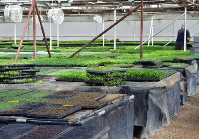 The Chef’s Garden: A Very Unusual Family Farm in Ohio | The Kitchn