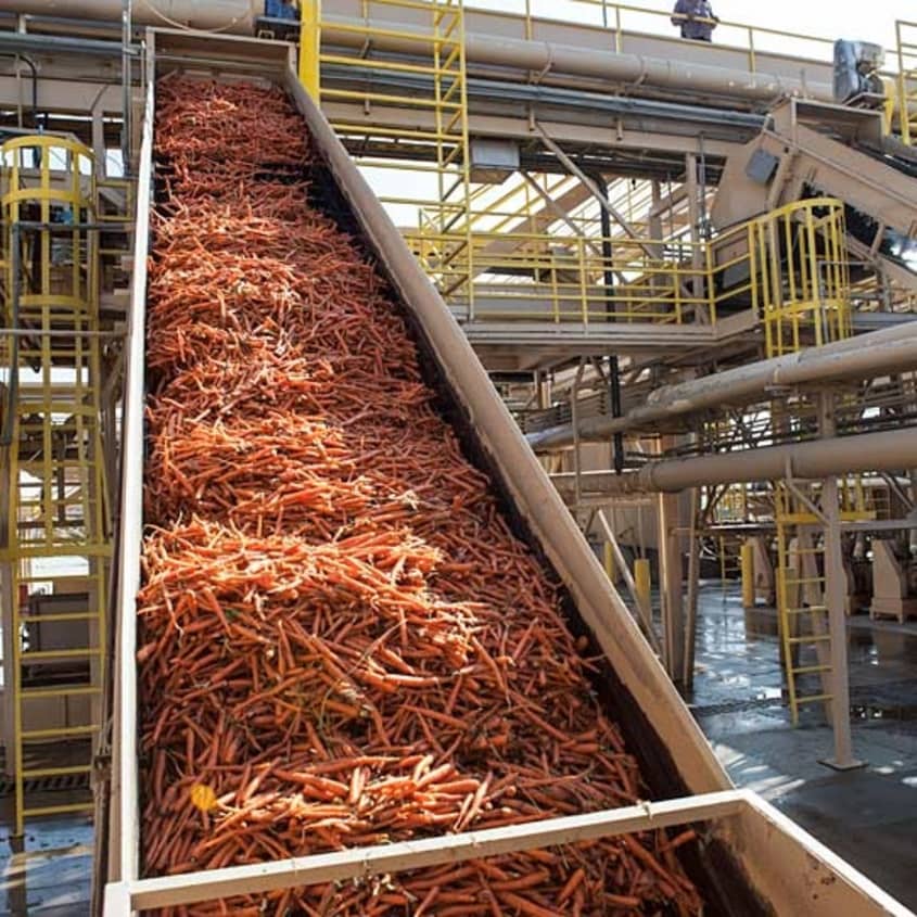 Behind the Scenes: Baby Carrot Harvest at Grimmway Farms | The Kitchn