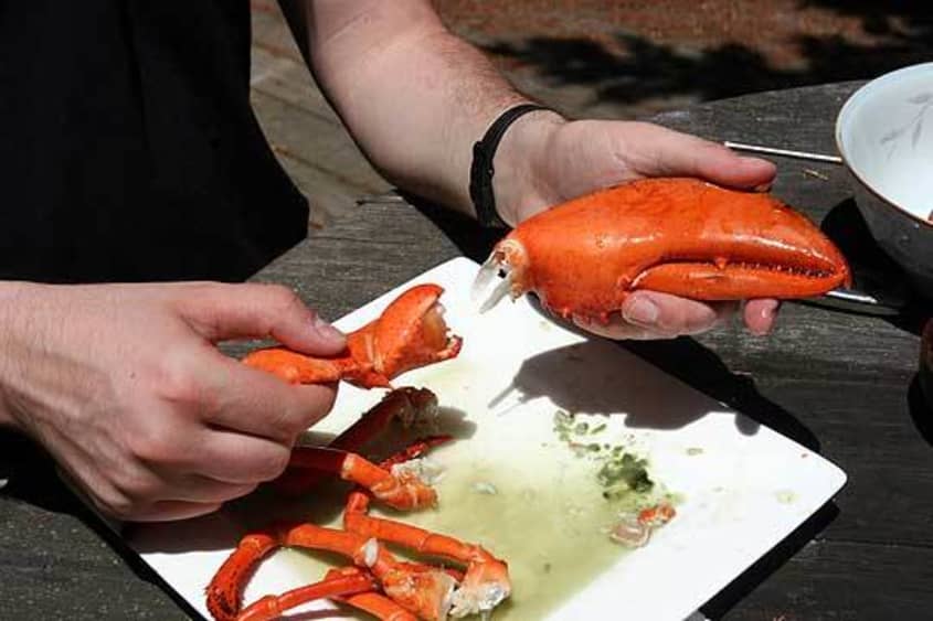 How To Crack And Eat A Whole Lobster | The Kitchn