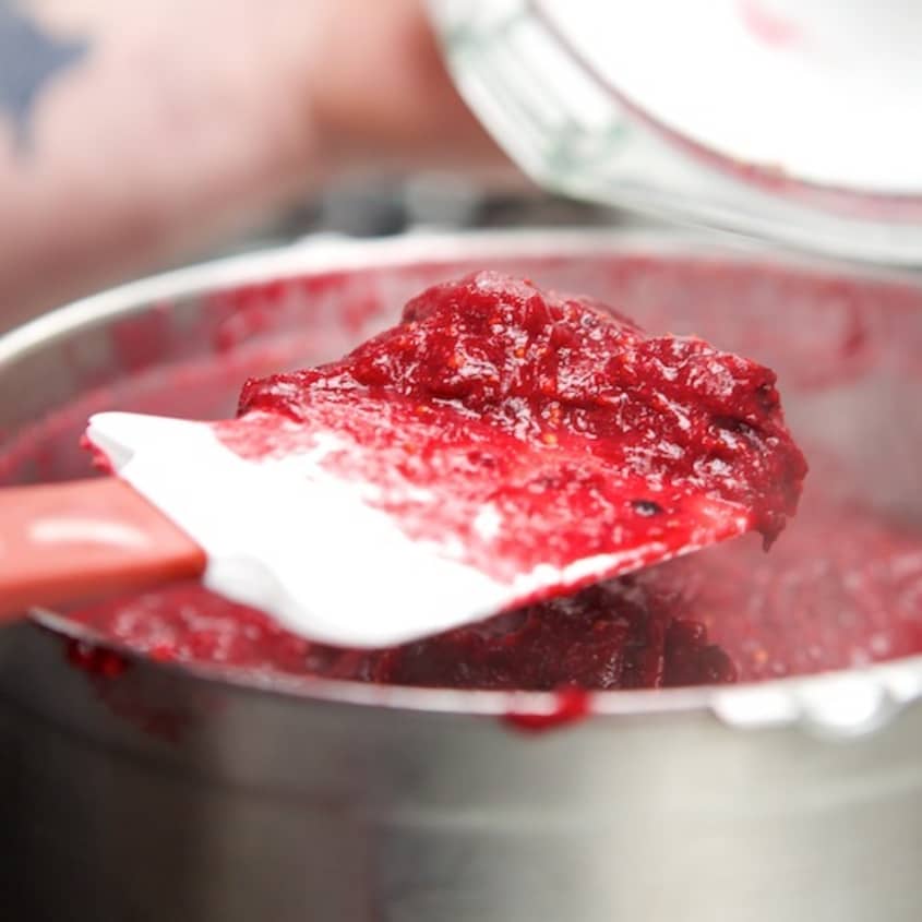 How To Make Cranberry Mustard for the Holidays | The Kitchn