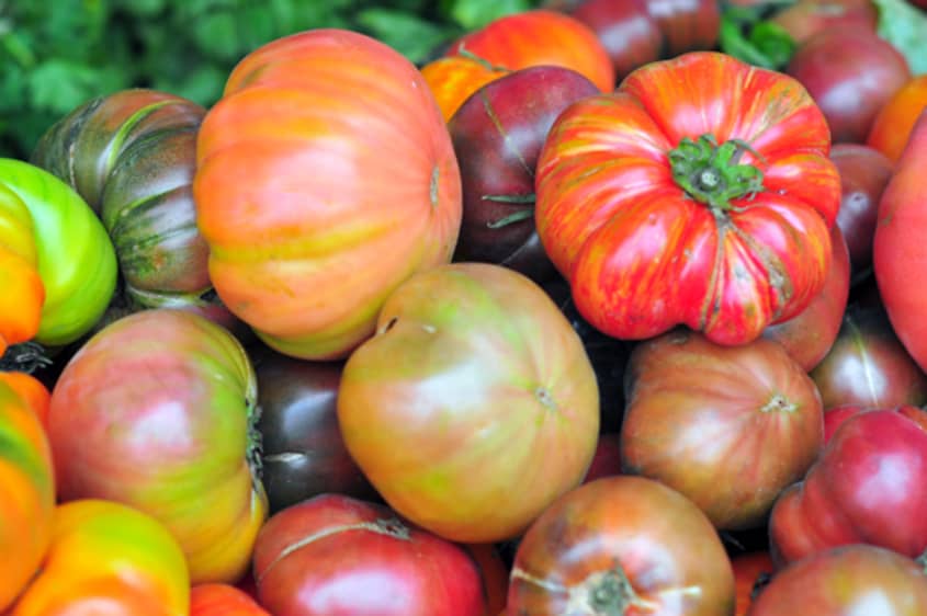 A Guide to Selecting the Best Produce: Vegetables | The Kitchn