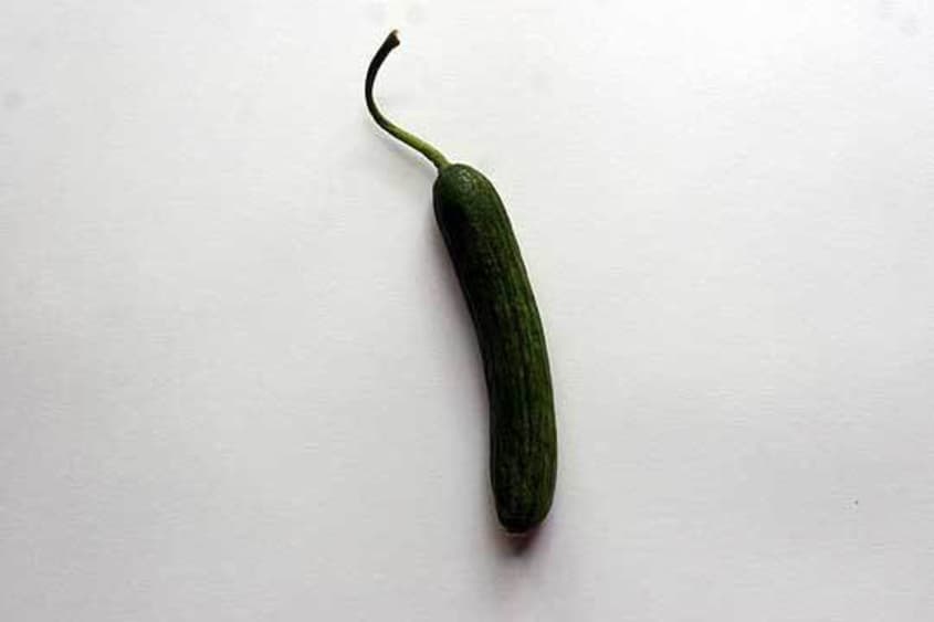 A Roundup of Cucumbers | The Kitchn