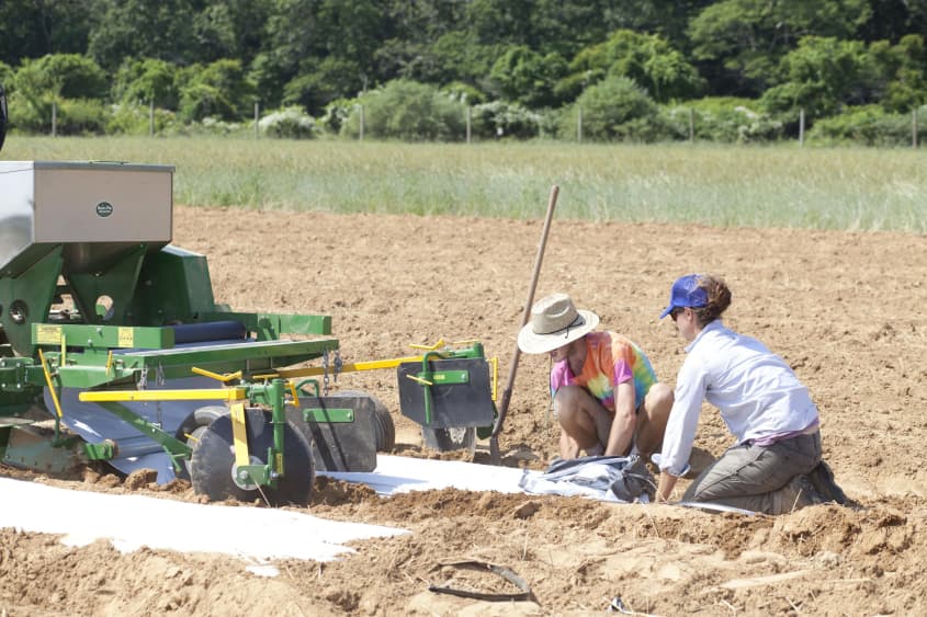 A Day in the Life of a Farm | The Kitchn