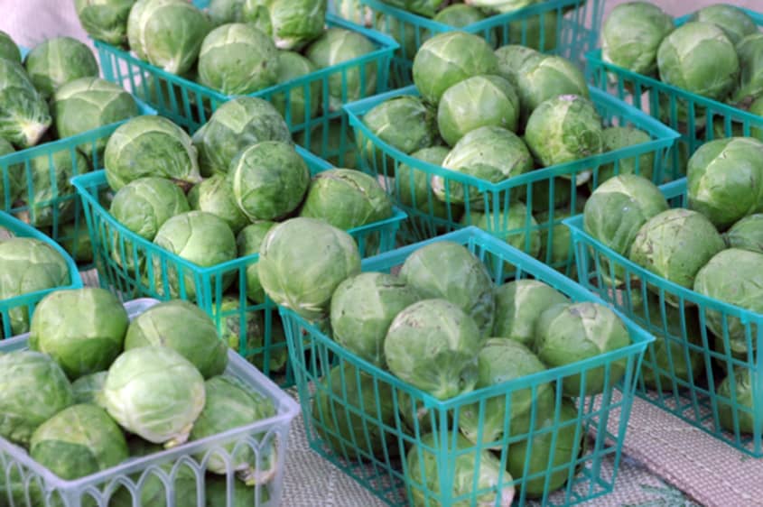 A Guide to Selecting the Best Produce: Vegetables | The Kitchn