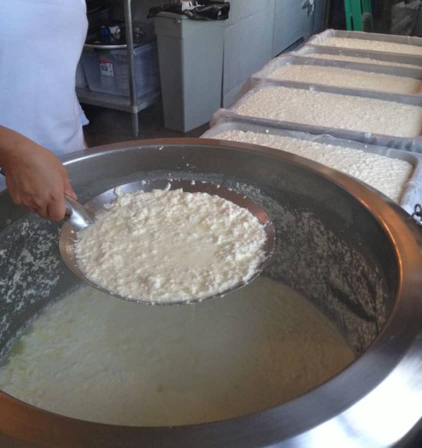 How Fresh Ricotta Cheese Is Made: A Visit to Salvatore Ricotta in ...